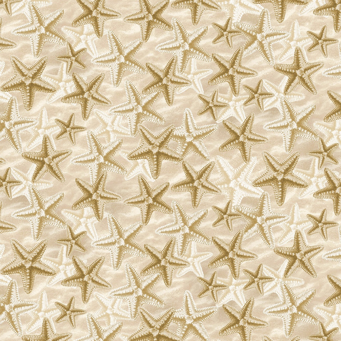 The Day's Catch - Natural Starfish in the Sand #C8394-NAT